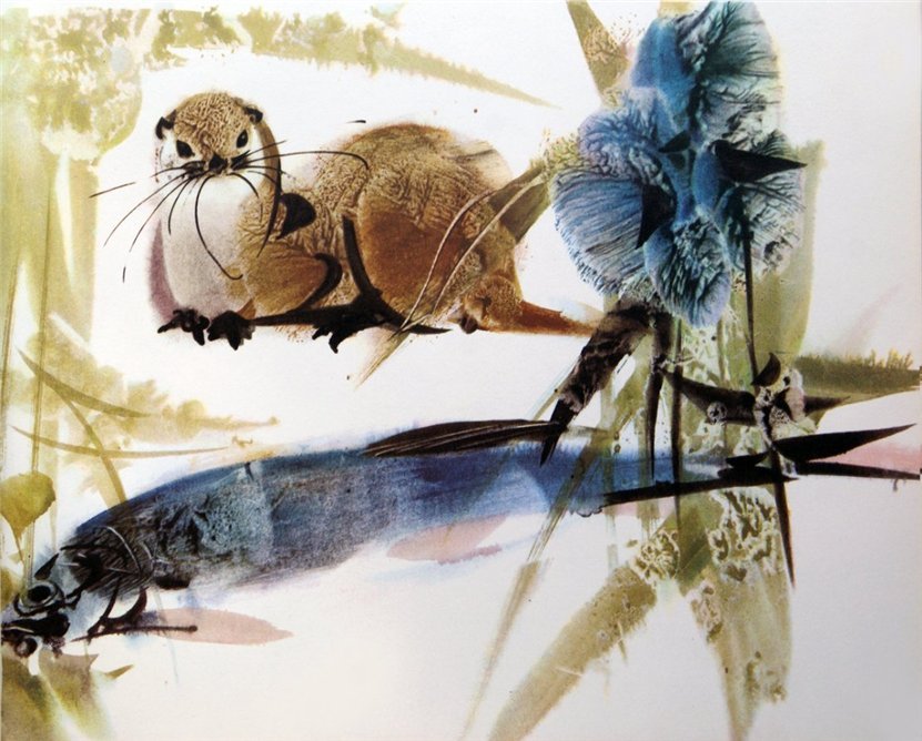 Восхитительные работы чешкого художника-анималиста Мирко Ханака