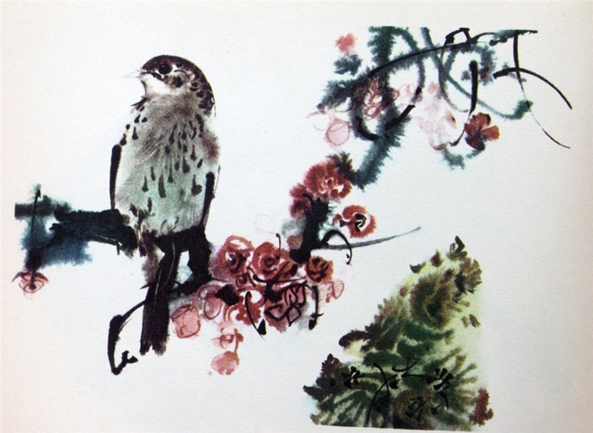 Восхитительные работы чешкого художника-анималиста Мирко Ханака