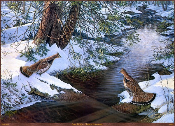 Работы художника Sam Timm.: Идеи и вдохновение в журнале Ярмарки Мастеров