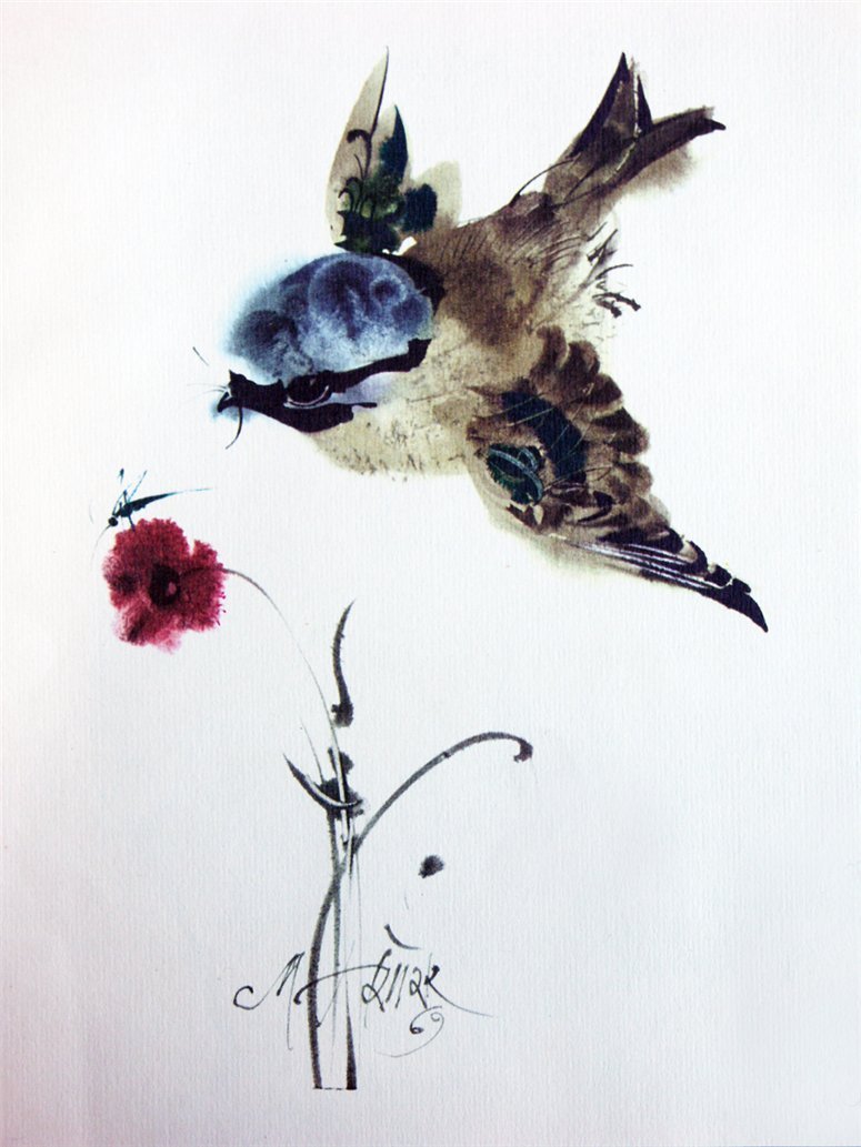 Восхитительные работы чешкого художника-анималиста Мирко Ханака