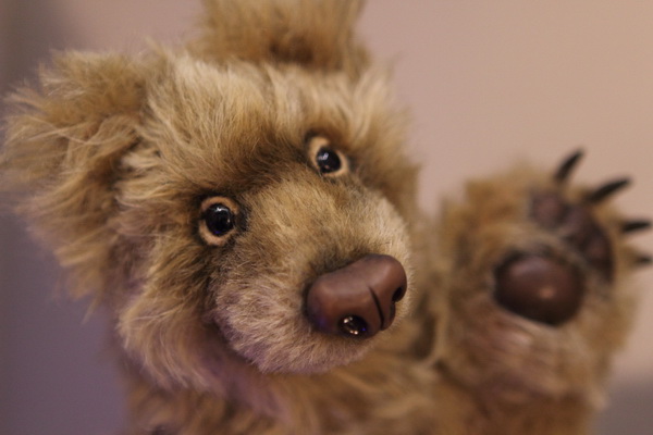 Hello Teddy 2014 (часть 2)