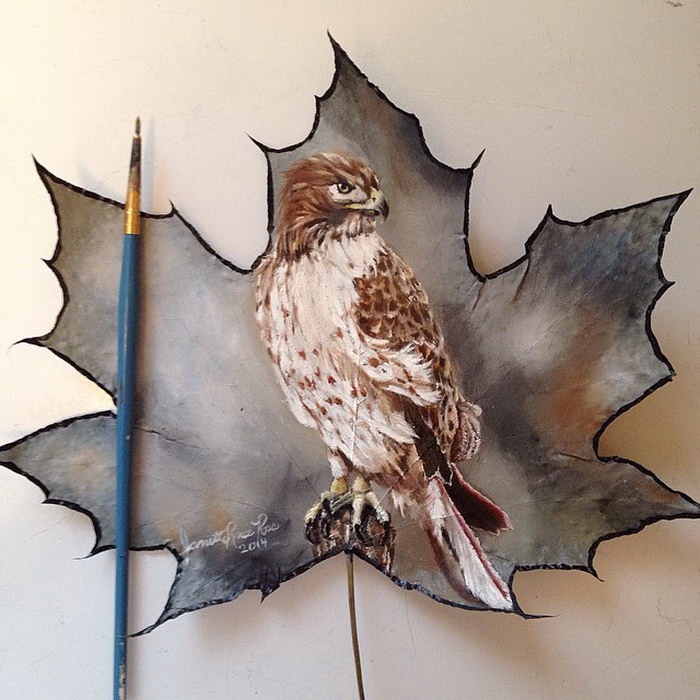 Удивительный взгляд на мир Janette Rose