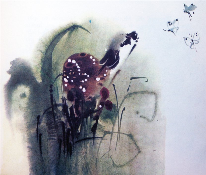 Восхитительные работы чешкого художника-анималиста Мирко Ханака