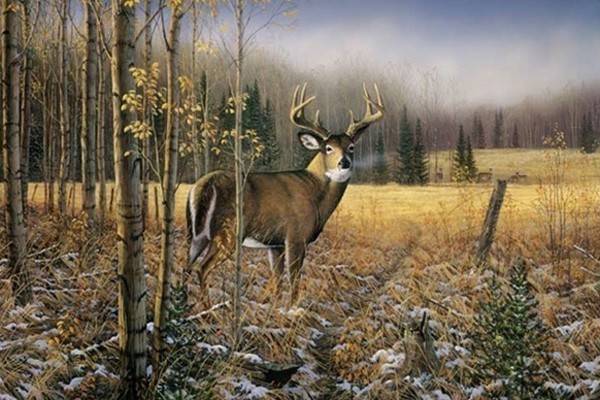 Работы художника Sam Timm.: Идеи и вдохновение в журнале Ярмарки Мастеров